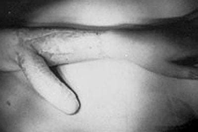 Tumblr L Y Ztxm Qb Txro