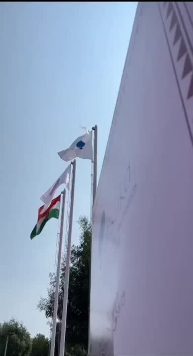 Video Hardik Bhatt On Linkedin Celebration Of 10 Years Completion In