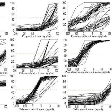 Differential Responses Of 62 Isolates Of Colletotrichum Acutatum And C