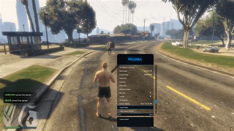 Lumia Fivem Mod Menu Aimbot Esp Server Crasher And More Realdudesinc Real Dudes Inc