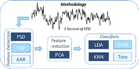 Methodology Of The Offline Analysis Download Scientific Diagram