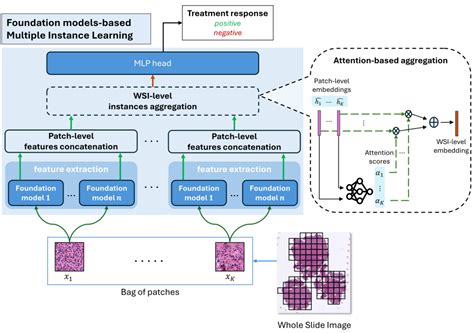 논문 리뷰 Histopathology Image Embedding Based On Foundation Models