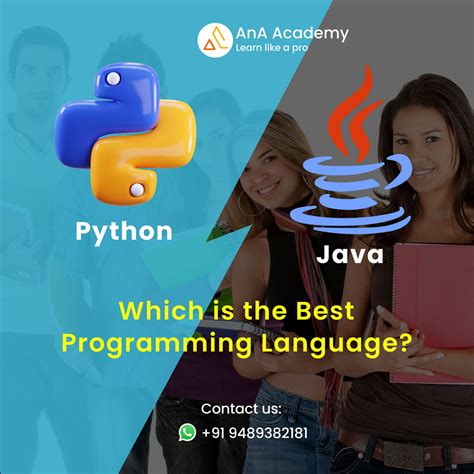 Python Or Java By Anaacademy On Deviantart