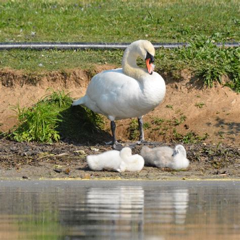 The Week In Seven Photos Cimple A Curious Introverts Musings And Photos About Life And Enjoyment