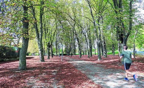 Las Hojas De Los Arboles Hot Sex Picture