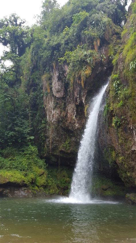 Cascadas Las Brisas En Cuetzalan Puebla México Mexico Nature