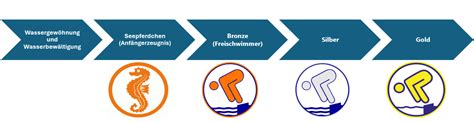Schwimmausbildung Dlrg Bezirk Reinickendorf
