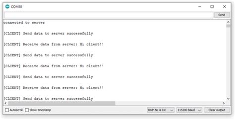 Ameba IPv Set Up IPv Server Client Over TCP Hackaday Io