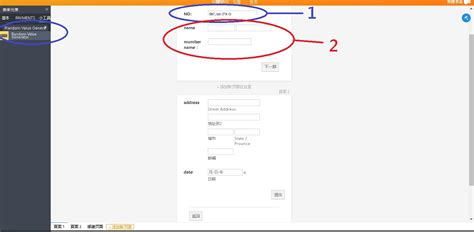 random number not displaying correctly