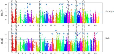 A Manhattan Plot Showing Chromosomal Regions Qtl Identified For Plant Download Scientific