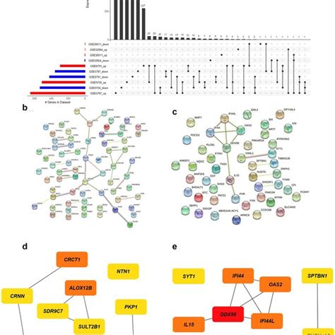 Differential Gene Expression And Pathway Analysis A An Upsetr Plot Of