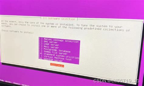 在服务器上装ubantu16 04系统（超级详细教程） ！！ ubuntu16 04 6服务器版安装教程 csdn博客