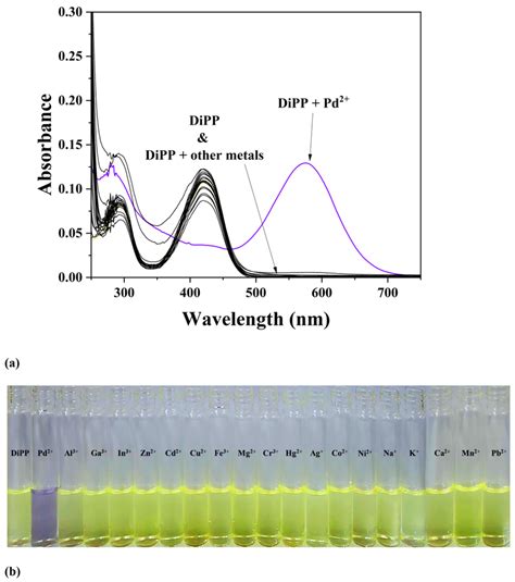 a UV vis absorbance variations of DiPP µM with varied cations Download Scientific