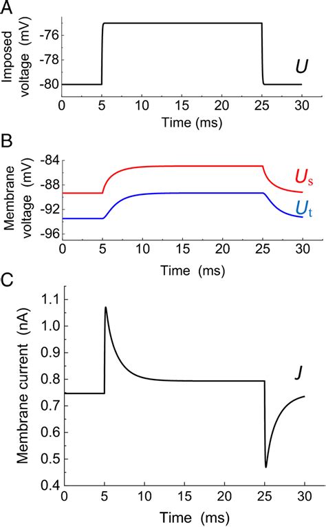 Solution Of The Equations Describing The Electrical Equivalent Circuit Download Scientific