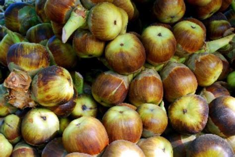 មុខរបរលក់ផលិតផលកែច្នៃចេញពីដើមត្នោតបានជួយបង្កើនប្រាក់ចំណូលនិងចូល រួមថែរក្សាផលិតផលអត្តសញ្ញាណជាតិ