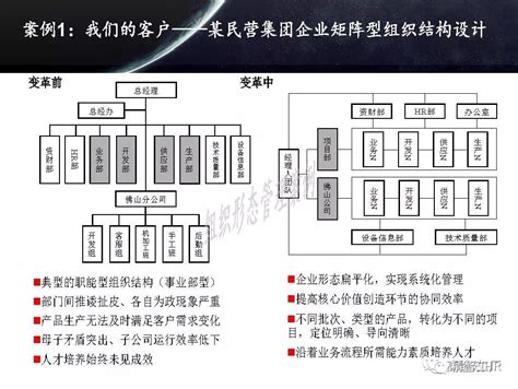 21个案例解读新组织结构变革：阿里 华为 海尔 Ge Ibm 组织管理与领导力 经管之家 原人大经济论坛