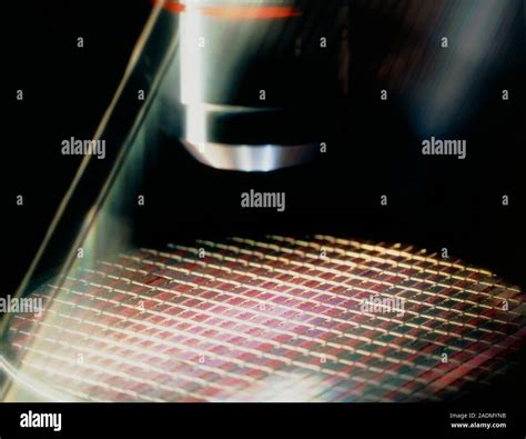 Chip Under A Microscope View Of A Processed Silicon Wafer Under The Lens Of A Microscope For