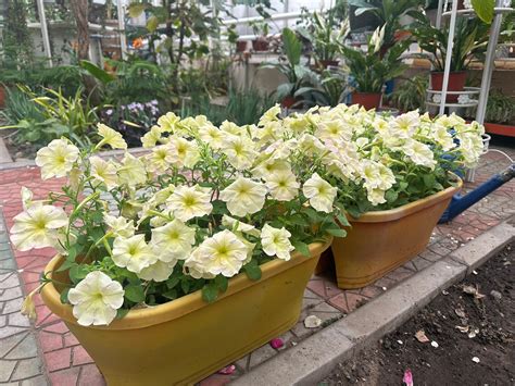 МУИС ийн Экологийн МУИС ийн Экологийн боловсролын төв