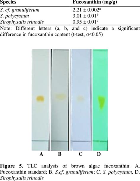 Fucoxanthin Content Of Three Brown Algae From Lombok Waters Indonesia