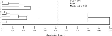 Dendrogram Obtained By Unweighted Pair Group Method With Arithmetic Download Scientific Diagram