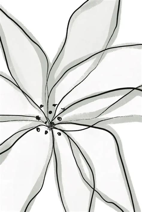 How To Draw A Leaf In Python