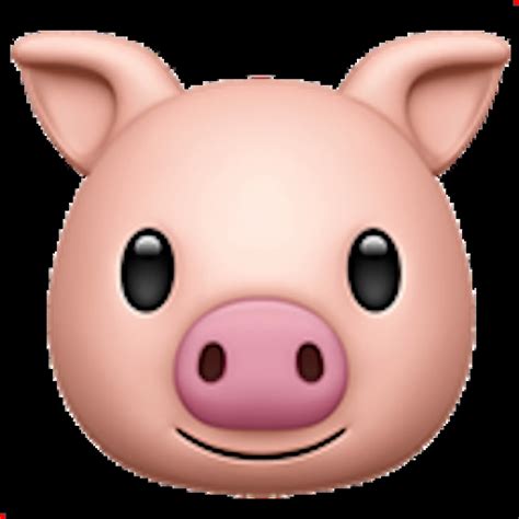 🐷 Pig Face Emoji Copy Paste 🐷