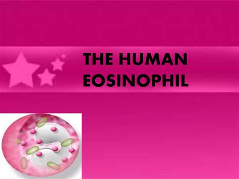 The Human Eosinophils Pptx