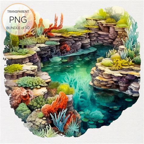 Set Of 10 Watercolor Tidepools Clipart Pngs For Coastal Card Making And