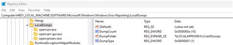Openvpn GUI Crashes The Connection Remains Issue 548 OpenVPN Openvpn Gui GitHub