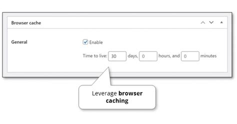Accelerator For Wordpress Seraphinite Solutions