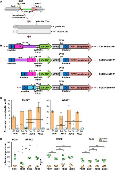 Rps4x Promoter Constructs Demonstrate Different Potential For Escape