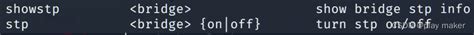 brctl使用教程 brctl stp csdn博客