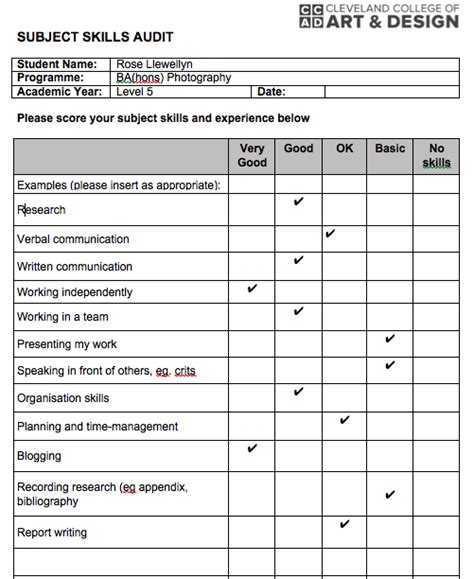 Rose Llewellyn Photography Skills Audit Form