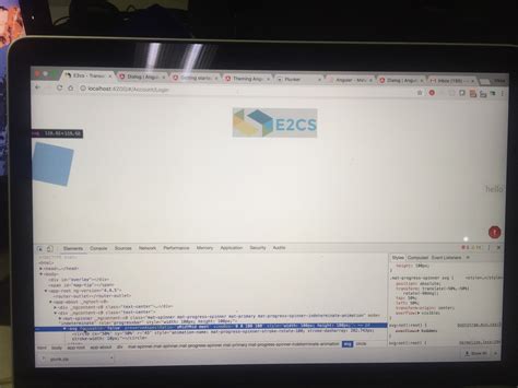 Angular Material Spinner Doesnt Render Stack Overflow