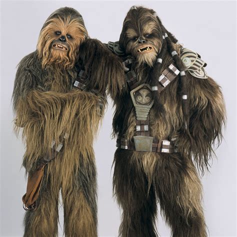 Image Wooky Wookieepedia Fandom Powered By Wikia