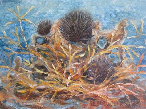Картина Морские ежи. Размеры: 70x50, Год: 2002, Цена: 12000 рублей ...
