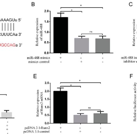Runx2 Is A Potential Target Of Mir 488 A Construction Profile Of The Download Scientific