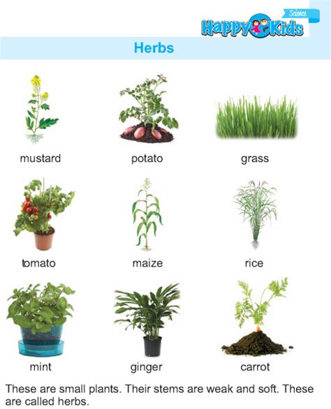 Pin On Water Sources