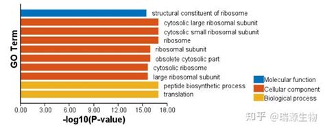 筛不到想要的基因？你真的清楚文库中有什么基因嘛，文库构建后ngs测序帮你解决 知乎