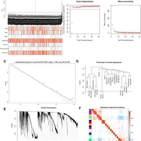 Wgcna Analysis For Degs A Dendrogram And Traits Heatmap Between