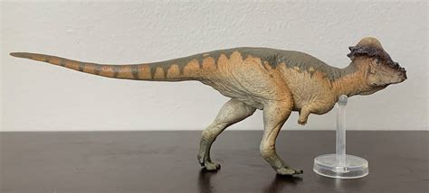 Pachycephalosaur Archives Dinosaur Toy Blog