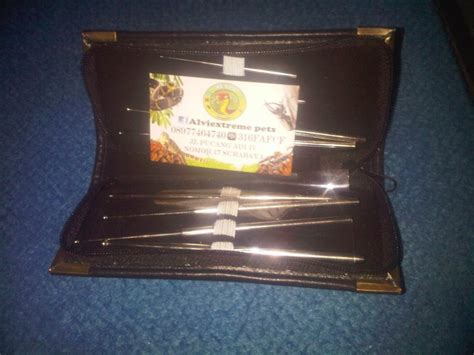 Aksesoris Perlengkapan Perlengkapan Hewan Tanaman Alat Sexing Aexpi Jual Ular Jinak