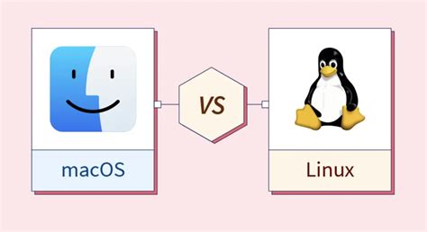 Why We Dont Have A Laravel For Javascript Yet Wasp