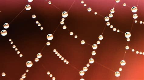 5 Trending Open Source Machine Learning Javascript Frameworks