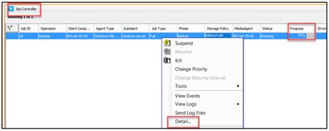 Performing A Windows Or Linux Server Backup Dell Powerprotect Dd