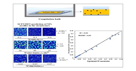 Predicting Nanoparticle Arrangement In Membranes Formed By Nonsolvent Induced Phase Separation
