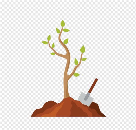 Tree Planting Png PNGWing Tree Planting Png PNGWing