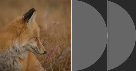 List Sklearn Curated By Rumman Medium