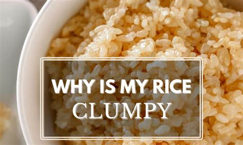 Why Is My Rice Clumpy Unsticking The Reasons Behind Stretch Recipes