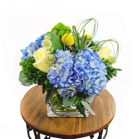 Moscarillo S Garden Shoppe